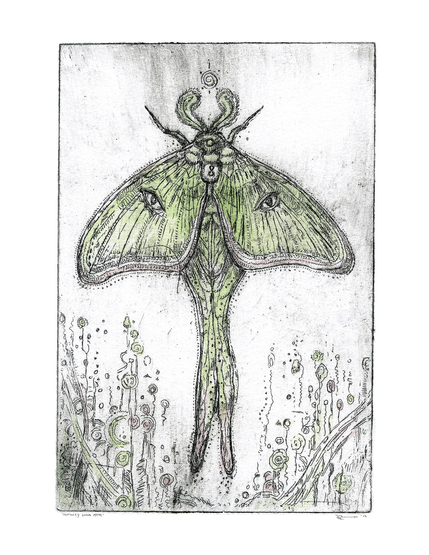 Infinity Luna Moth – Paulina Fae